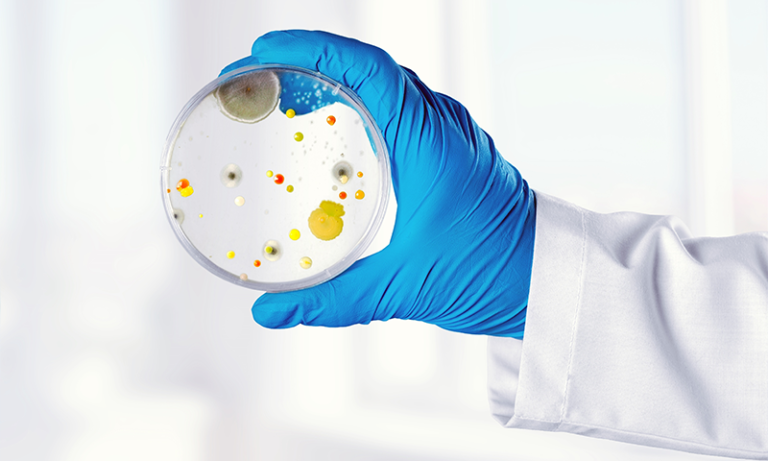 Accurate Antimicrobial Preservative Effectiveness Testing | CPT Labs