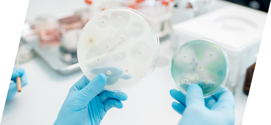 USP 61 & USP 62 | CPT Labs